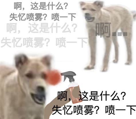 抖音发疯文学表情包有哪些 发疯文学表情包大全分享 牛特市场