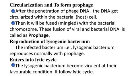 Lambda Phage And Their Reproduction Pptx Biological Sciences Science