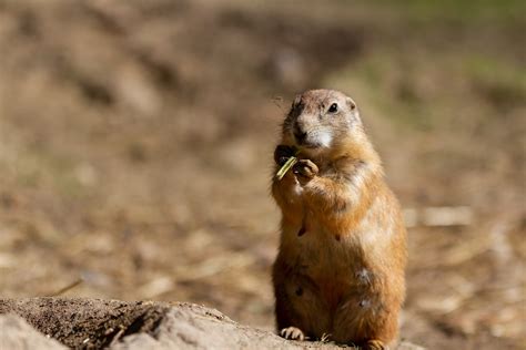 Golang Back To Basics Part 3 We Have Seen Basics Of Golang In By