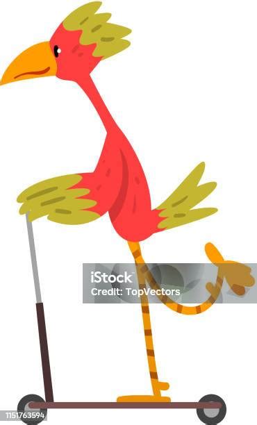 다채로운 새는 킥 스쿠터 차량 벡터 일러스트 레이 션을 사용 하 여 재미 있는 새 문자를 타고 거리에 대한 스톡 벡터 아트 및 기타 이미지 Istock