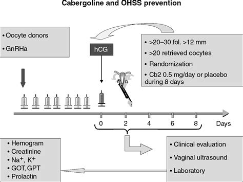 Ovarian Hyperstimulation Syndrome Symptoms