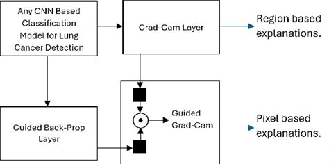 Figure 1 From Explainable Ai For Early Lung Cancer Detection A Path To