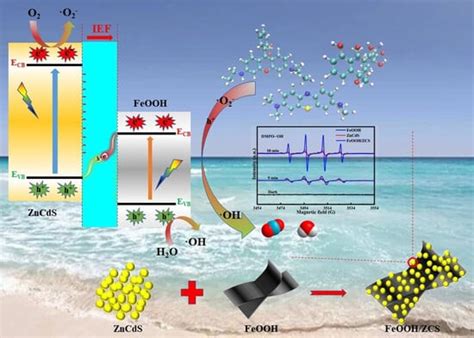 Feooh Nanosheets Coupled With Zncds Nanoparticles For Highly Improved