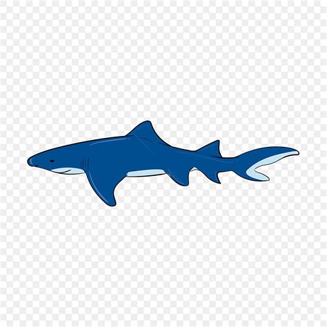 Simple Cartoon Shark
