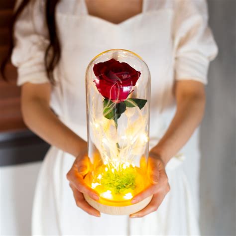 미녀와 야수 유리돔 무드등l 원모먼트