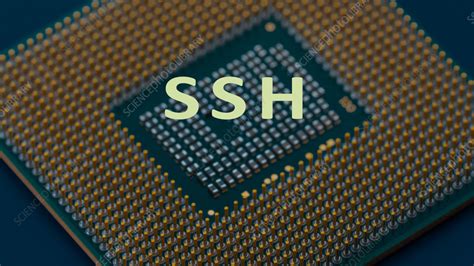 Secure Shell Stock Image F0450143 Science Photo Library