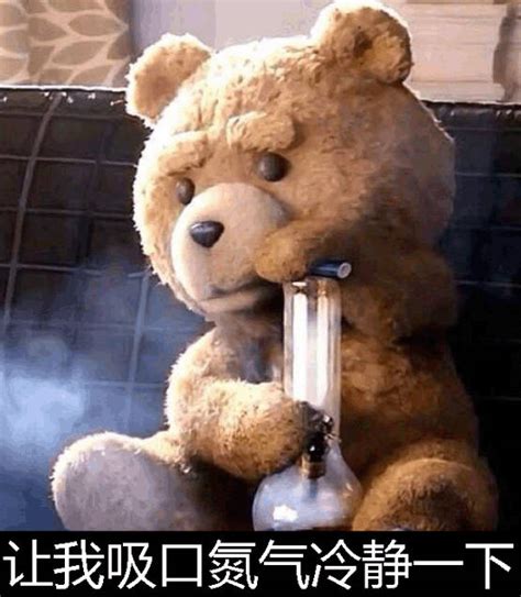 泰迪表情包 gif表情 动态图库网