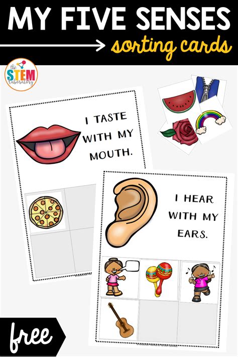 Label The Five Senses Worksheets Free Printable Worksheet
