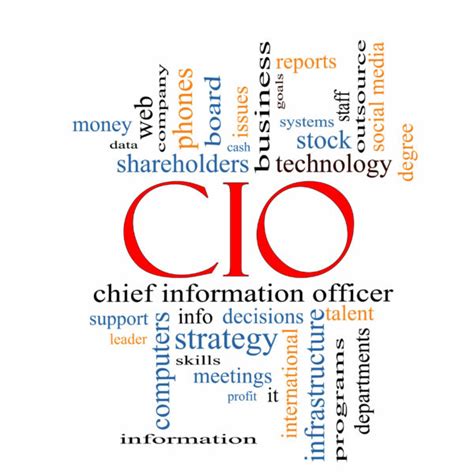 Cio Reporting Structure The National Cio Review