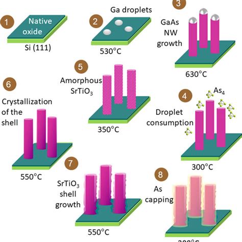 Schematics Of The Different Stages For The Growth Of Gaas Srtio3 Download Scientific Diagram