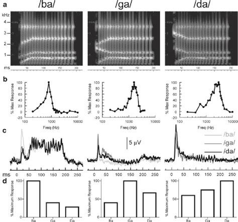 2 Short Windows Of Temporal Integration Are Required To Reliably