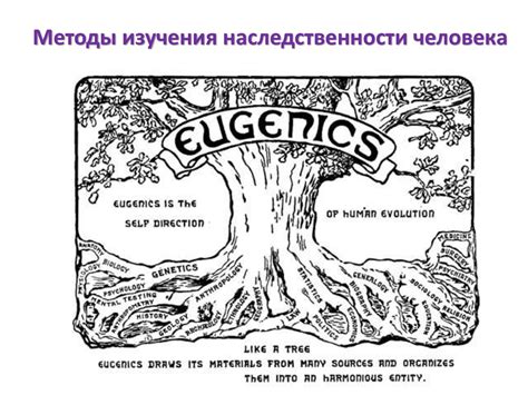 Методы изучения наследственности человека презентация онлайн