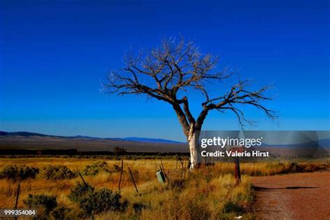 Valerie Fields Photos And Premium High Res Pictures Getty Images