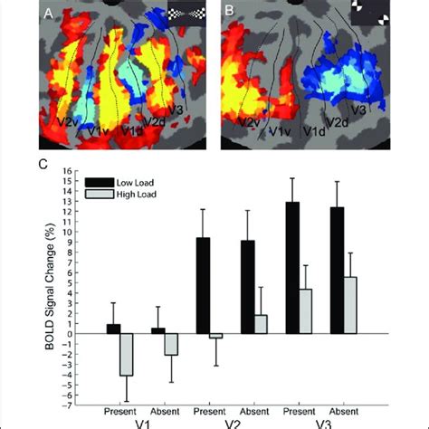 Retinotopic Mapping And Imaging Data For V1 V2 And V3 Rois