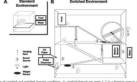 Figure 1 From Environmental Enrichment Input In The Rat Posterior