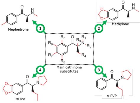 6 Synthetic Cathinones Can Be Derived From Cathinone Through A Variety Download Scientific