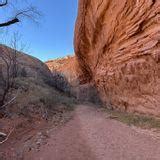 The Golden Cathedral Trail Utah 625 Reviews Map Alltrails