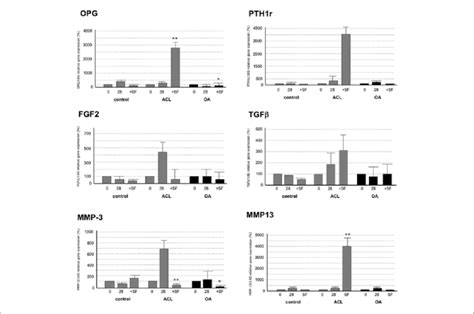 Gene Expression Of Opg A Pthr1 B Fgf2 C Tgfβ D Mmp 3 E Download Scientific
