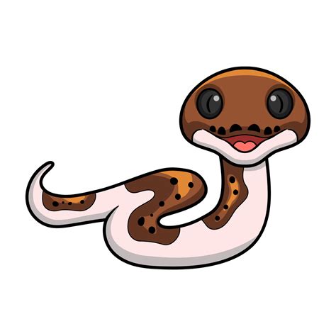 Cute Pied Reticulated Python Cartoon 23556250 Vector Art At Vecteezy