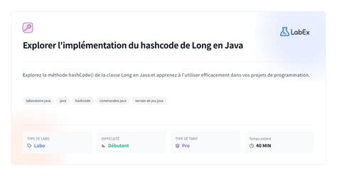 Maîtriser Limplémentation Du Hashcode De Long En Java Labex