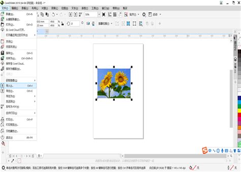 利用coreldraw的印象派艺术笔触效果把实物图变成油画 Coreldraw中文网站
