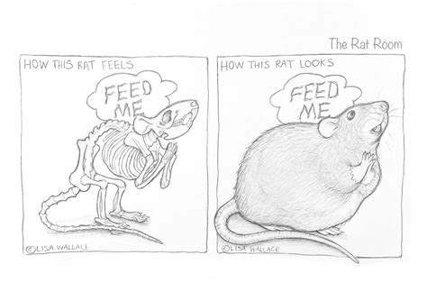 Rat Bleeding From The Eyes Rrats