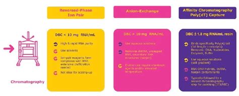 Types Of Chromatography Download Scientific Diagram