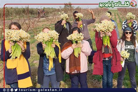 باغ گل نرگس و چشمه گل رامیان توریسم گلستان