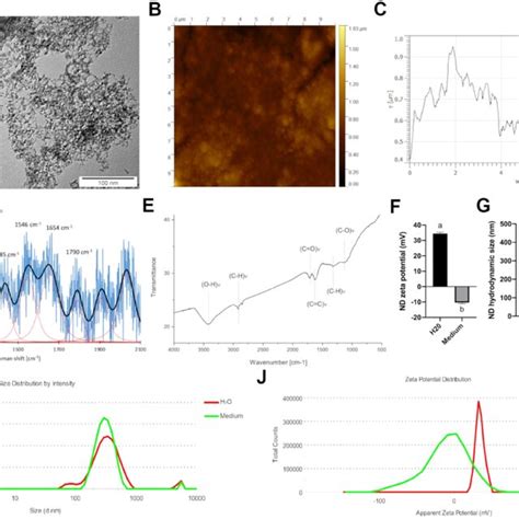 Physicochemical Characterization Of Diamond Nanoparticles A