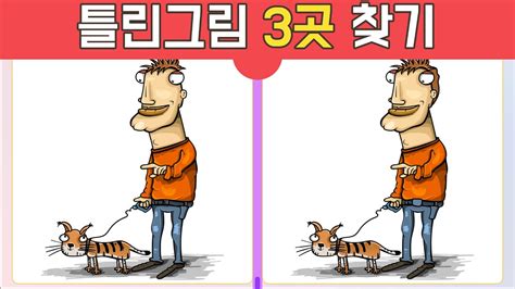 기억력 향상 프로젝트 고양이와 산책 틀린그림찾기 Find The 3 Differences 집중력 기억력 다른그림