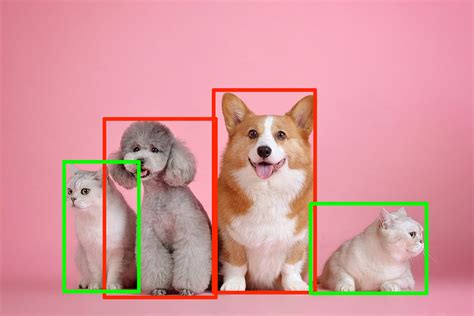 使用 Pytorch 提供的預訓練模型 Pretrained Model 做物件偵測 Object Detection Rowan Ts Medium