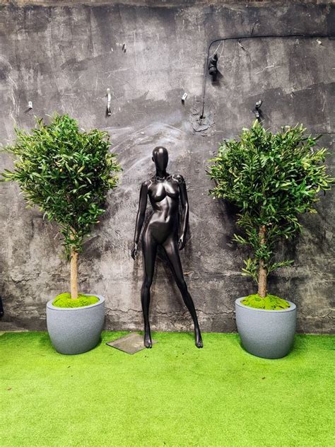 Изкуствени дръвчета Цветя декоративни растения Велико Търново 480