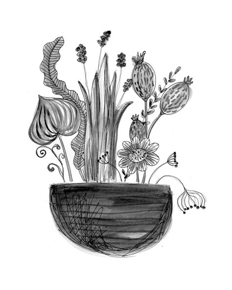 Composting Knowledge Documenta Fifteen