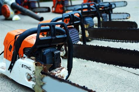 Gosford Council Tree Works Applications Everwilling Tree Specialists