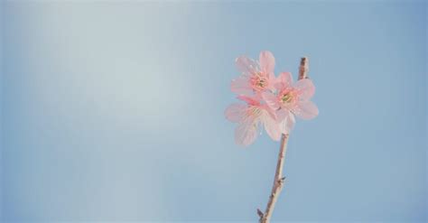 Céphalée De Cluster Symptômes Et Traitements La Maison De Santé