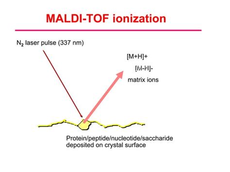 09 Maldi Tof Principal Of Mass Spectrometry Pdf Chemistry Science