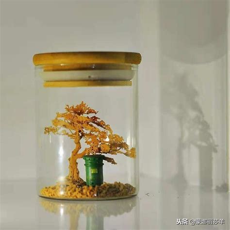 傳統軟木畫的新發展 每日頭條