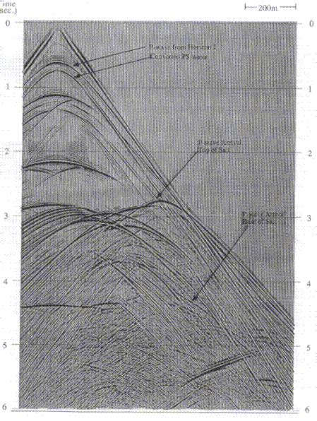 Subsalt Response Of Elastic Wavefield Modeling