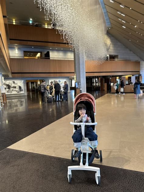 절충형유모차 거부하는 아기 유모카 유아 트라이크 와이업 휴대용유모차 추천 네이버 블로그