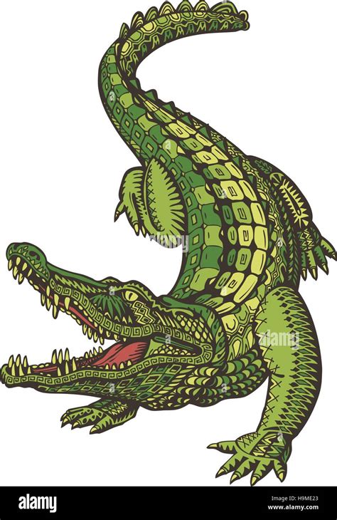 African Crocodile Angry In Stock Vector Images Alamy