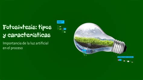 Fotosíntesis Tipos Y Características By Daniela Chica On Prezi