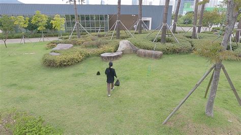 Illegal Dumpingobject Detection Object Detection Dataset And Pre