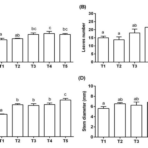 A Basic Zeolite Structure B Tetrahedral Representation Of A