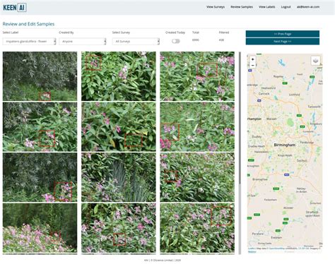 Creating A Neural Network For Identifying Himalayan Balsam From Roadside Images