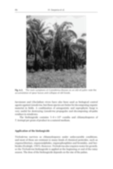 Solution A Control Strategy For Basal Stem Rot Ganoderma On Oil Palm