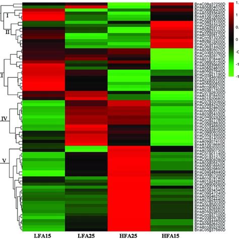 Hierarchical Clustering Analysis Of The Differentially Expressed Genes