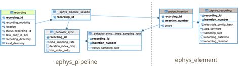 Ephysimaging Automation Pipeline In Braincogs Developer Guide