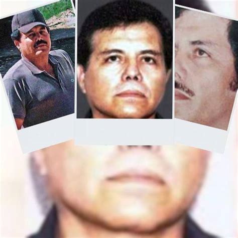 La Historia De ‘el Mayo Zambada El Narco Mexicano Que Es Objetivo