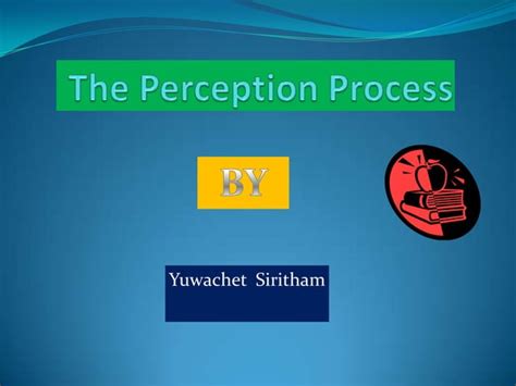 The Perception Process Ppsx