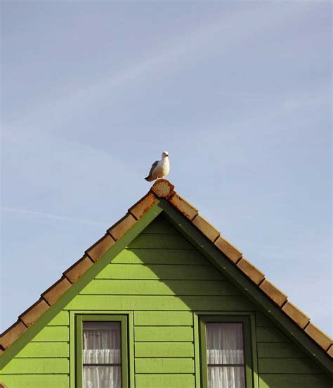 Home Posts Archives Topsail Strategies